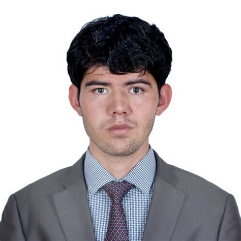 Sayed Reza Ehsani Head Of Geology Institute Master Of Geological