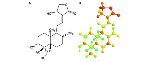 Structure Of Andrographolide A 2d And B 3d Download Scientific
