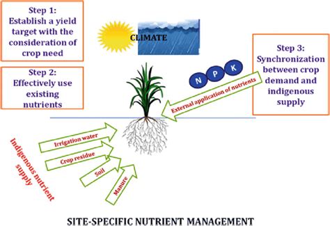 5 Generic Principles Of Site Specific Nutrient Management Download Scientific Diagram