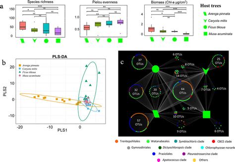 Community Composition Differences Among Four Kinds Of Host Trees A