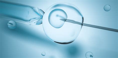 Creating And Implanting Synthetic Monkey Embryos Could Pave The Way To