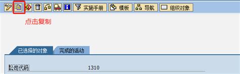 Sap组织结构介绍业务范围和功能范围rox要学sap的博客 Csdn博客 Sap组织结构介绍业务范围和功能范围rox要学sap的博客 Csdn博客