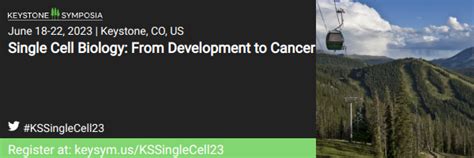 Single Cell Biology From Development To Cancer Keystone Symposia