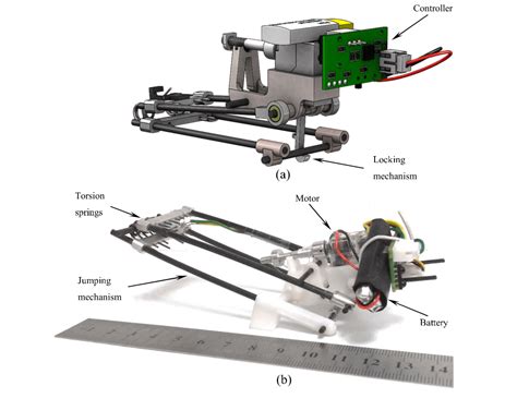 The Matrix Insects And You Insect Inspired Robotics