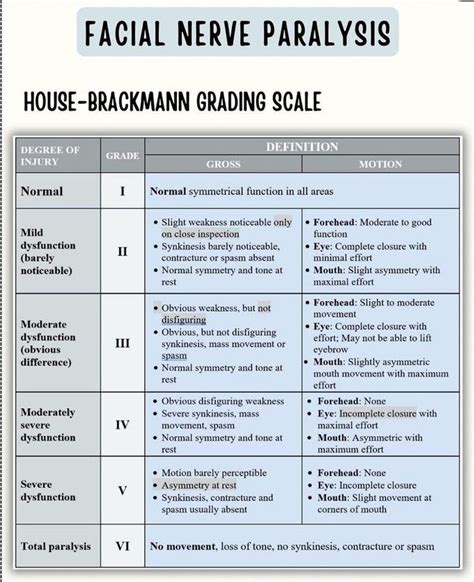 House Brackmann Grading Scale Medizzy