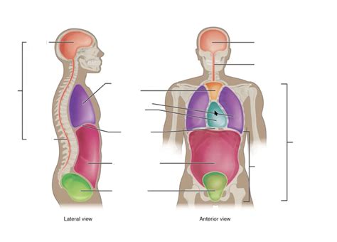 Lab Practicum 1 Lab 1 Diagram Quizlet