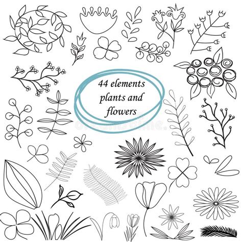 44 Elements Of Plants And Flowers Stencil Drawings Vector Botanical Elements Stock Vector