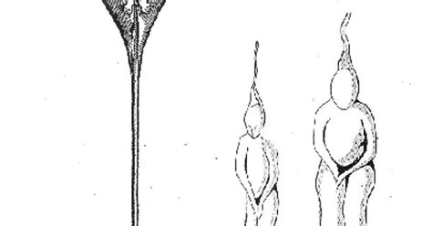 Preformationism Album On Imgur