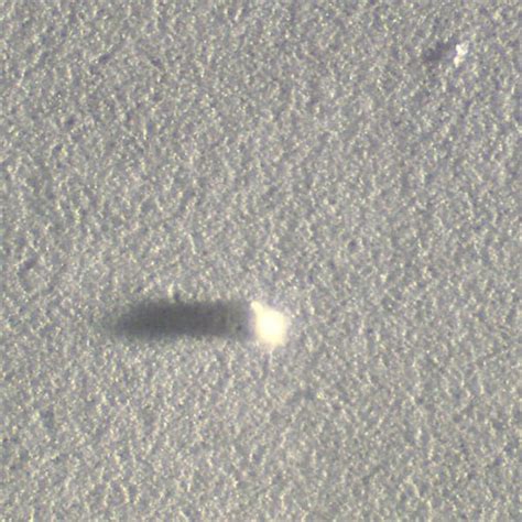 Membrane Particulate Count Clemex