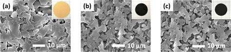 Sem Image And Appearance Inset Of A Macroporous Phenolic Resin