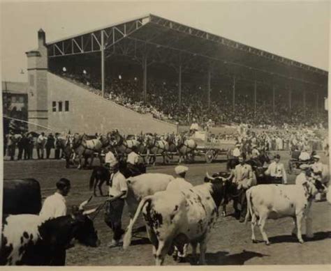 Photos History Of The California State Fair
