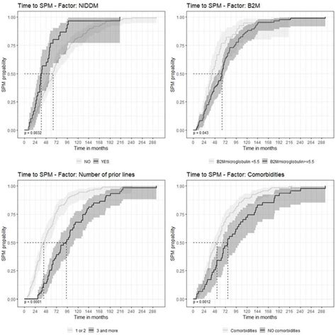 Time To Second Primary Malignancy Depending On The Factors Selected