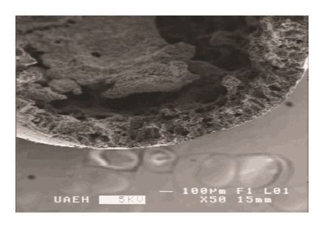 Scanning Electron Micrograph For A Cellulose Acetate Microcapsules