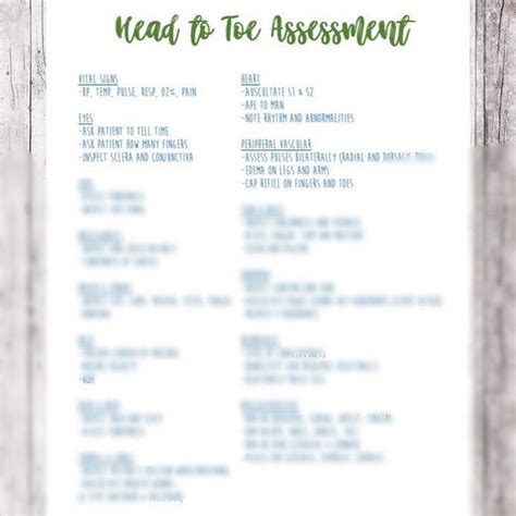 Head To Toe Assessment Reference Sheet Nursing School Worksheet