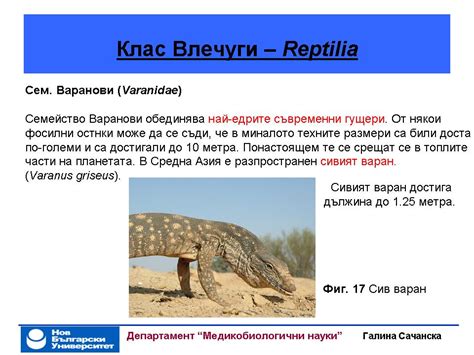 418 Животинско царство Гръбначни животни Земноводни и влечуги