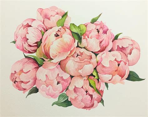 여기까지작약쟈갹 꽃꽃스타그램꽃그림그림그리기수채화핑크작약식물아트북드로잉일러스트셀스타그램셀피일요일밤 Leegreeemflower