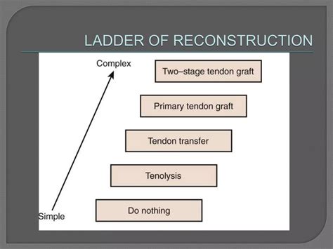 Flexor Tendon Injury Pptx