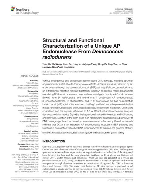 Pdf Structural And Functional Characterization Of A Unique Ap Endonuclease From Deinococcus