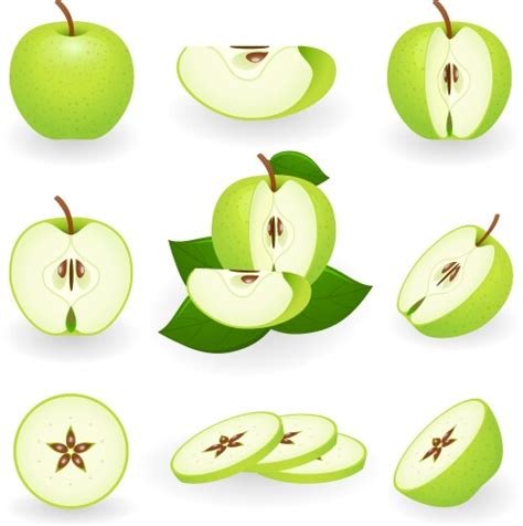 Free Apple Vector Images Over
