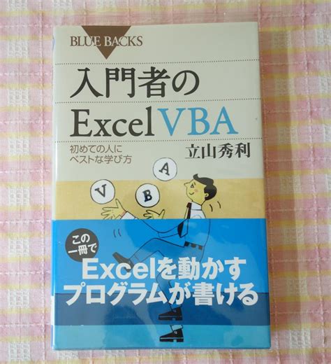 〇 入門者のexcel vba 初めての人にベストな学び方 立山秀利 メルカリ