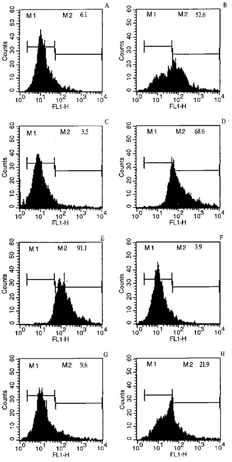 Cytofluorometry Tunel Analysis Of The Antimonial Induced Dna