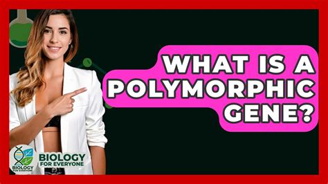 What Is A Polymorphic Gene Biology For Everyone Youtube