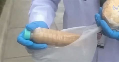 Detectan Bacterias Coliformes En Desayunos Y Almuerzos Que Se Ofrecen