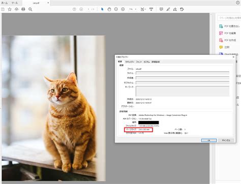 PythonでPDFをトリミングする方法 Shikoan s ML Blog