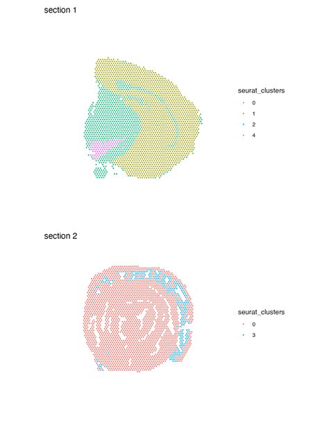 Visualization Of Categorical Features • Semla