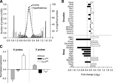 Hypothalamic And Cortical Gene Expression After Sd In Per3 44 And Per3