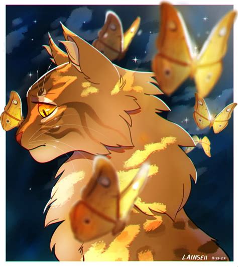 Mothwing Warrior Cats Books Warrior Cats Art Warrior Cats Series