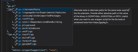 X Tools Gopls Document Setup Required For Working With The Std Library Issue Golang
