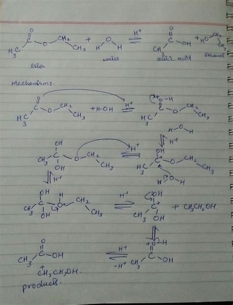 [Solved] Draw the products of the hydrolysis shown. Draw products. Select... | Course Hero