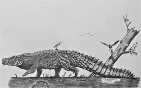 Purussaurus Brasiliensis By Acrosaurotaurus On Deviantart
