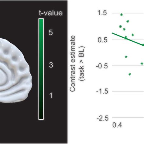 Task Related Brain Activity Modulated By Participants Sensitivity D