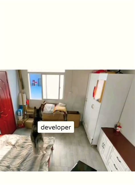 developer 😀😀😀 java java programming javascript coding coder codinglife youtubeshorts