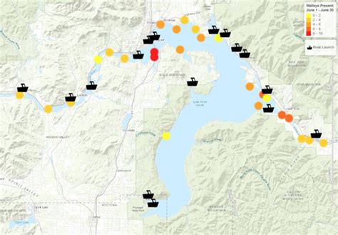 Looking For Walleye In Lake Pend Oreille Weve Got You Covered Idaho