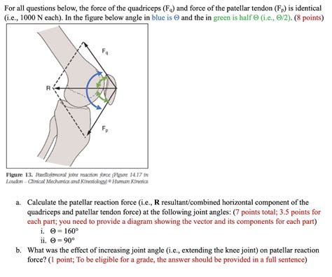 Solved For All Questions Below The Force Of The Quadriceps