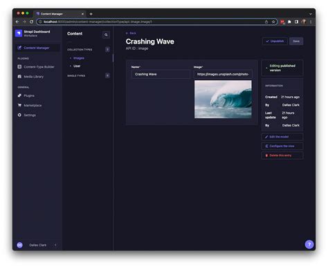 how to create a custom admin ui field component in strapi by dallas