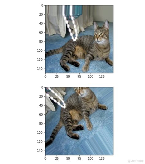 深度学习 猫狗识别 模型 猫狗识别数据集mob64ca1419a401的技术博客51cto博客