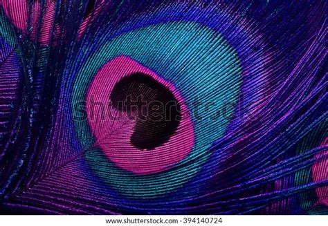 Peacock S Tail Pattern Images Stock Photos Vectors Shutterstock