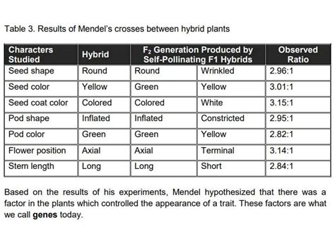 Heredity Inheritance And Variation Of Traits Pptx