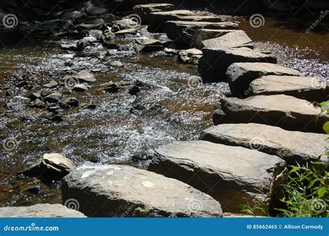 Difficult Run Trail Stock Image Image Of Virginia Hiking 85662465