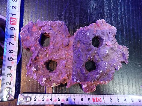 Frag専用プレート Js Frag Rock No20 アクアテイラーズ オンラインショップ