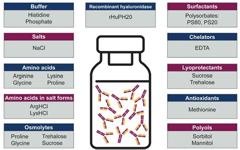 Developing High Concentration Monoclonal Antibody Formulations For