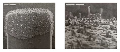 Characteristics Of Tin Whisker Growth And Prevention And Control