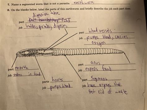 Chapter Seven Flashcards Quizlet Chapter Seven Flashcards Quizlet