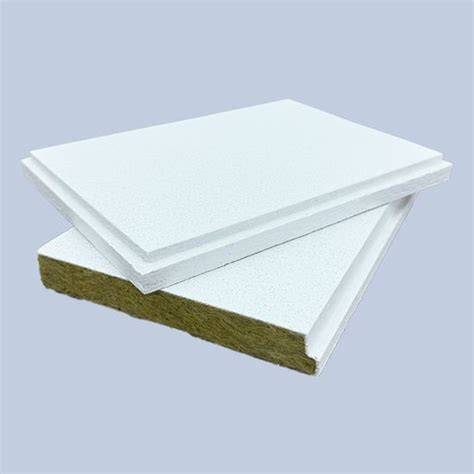 Panovf Rockwool Ceiling Panels White 600600 Tegular Rockwool Acoustic