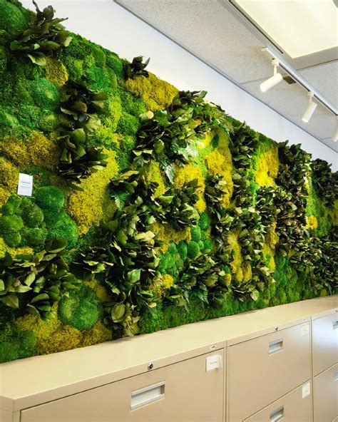 Biophilic Design Specialists Our Preserved Reindeer Moss With Its