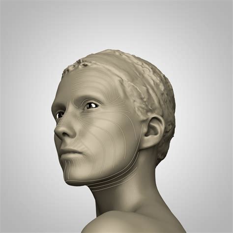 Exérèse De Lésions Cutanées Dr Michaela Grecea